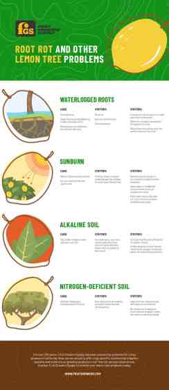 Lemon Tree Problems | Niche Products | Fruit Growers Supply