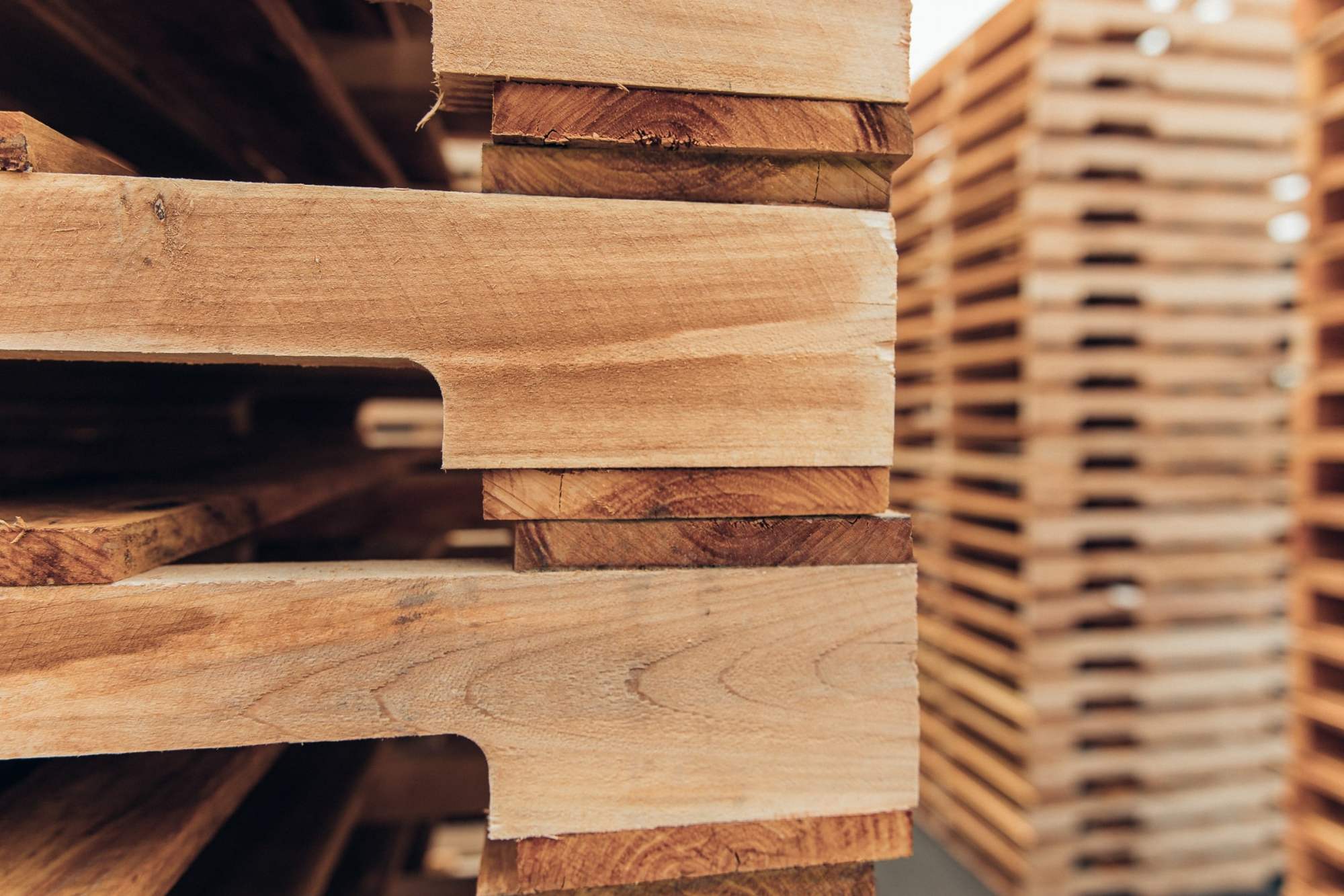 Different Types of Pallets: Which One Do You Need? | Fruit Growers Supply