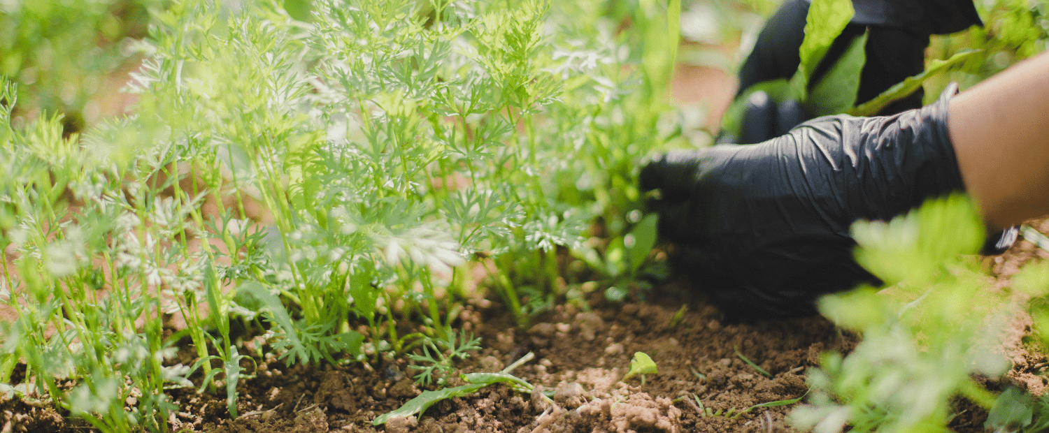 Now until May 10th: Weed Killer Discount at all FGS Supply Centers ...